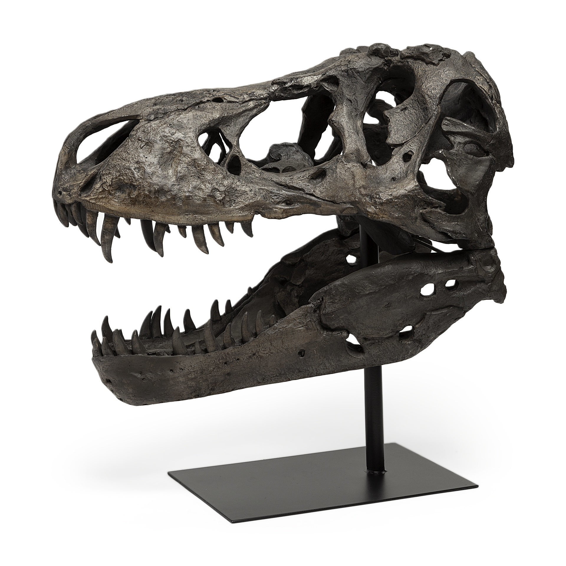 Authentic Replica T Rex Skull Sculpture - Walmart.com