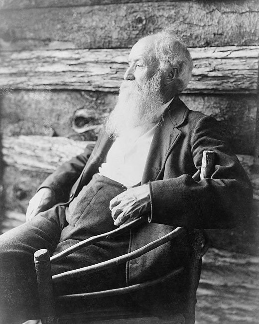 Author John Burroughs 1901 Portrait Style - A - 20x30 Inch Glossy ...