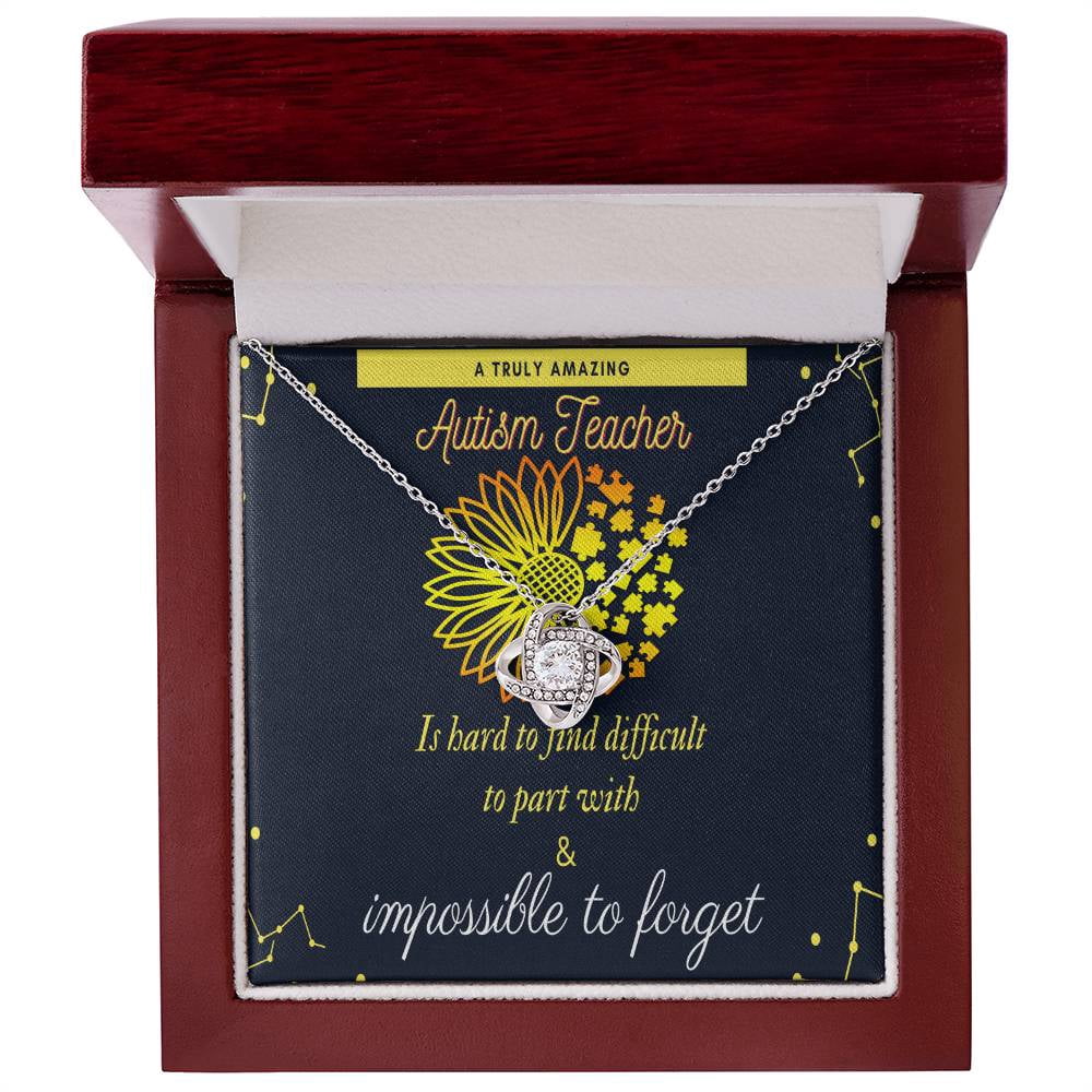 Autism Teacher Gift Gift for Special Education Teacher Necklace Autism ...