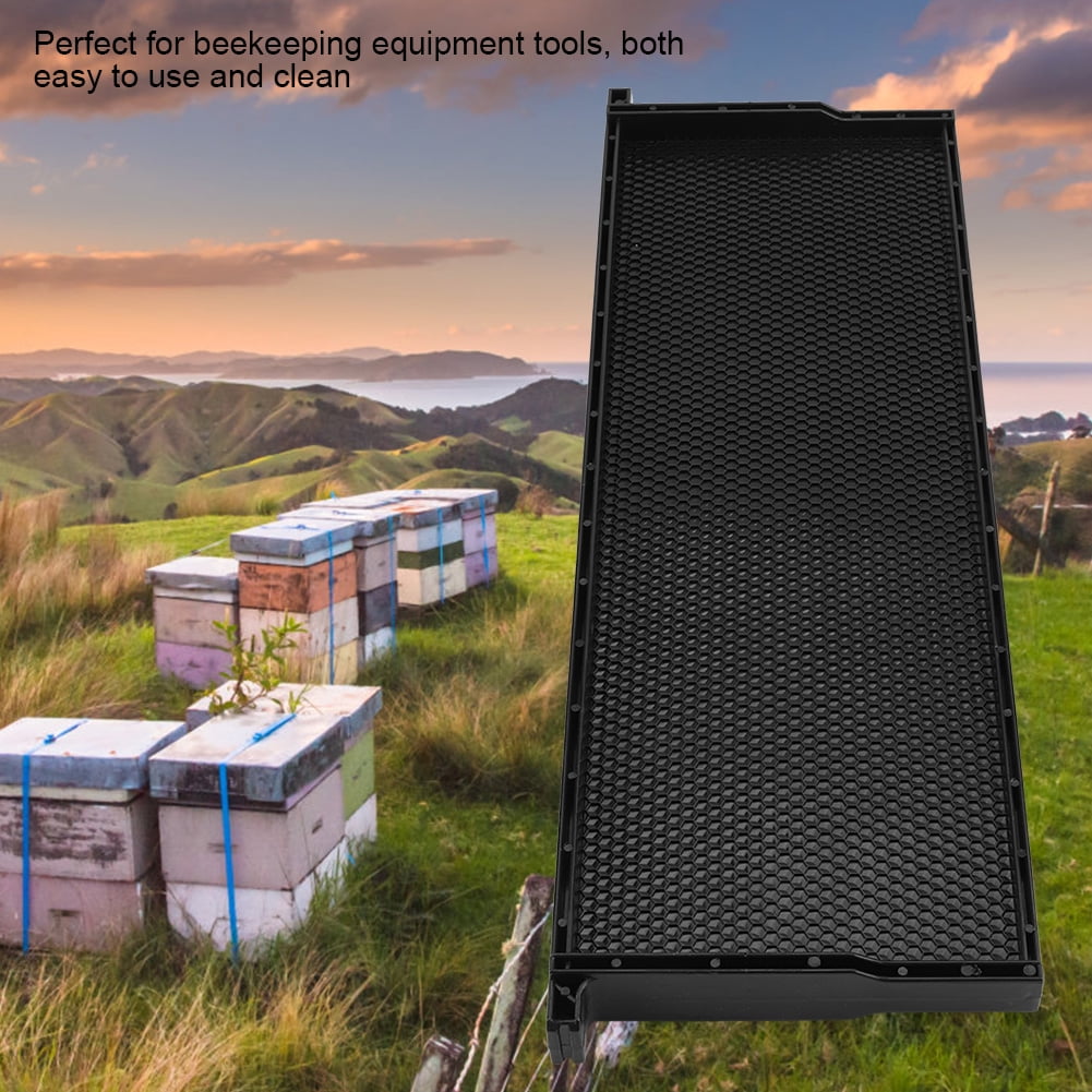 Auto Honey Beehive Frames Beekeeping Kit Pollination Box Bee Hive King ...