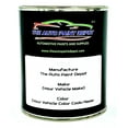 Auto Paint Depot Touch Up Paint for AMC Alliance, Eagle-Olympic Blue ...