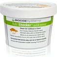 Biocide Systems Auto Shocker CLO2 Automotive Deodorizer - Car Odor ...