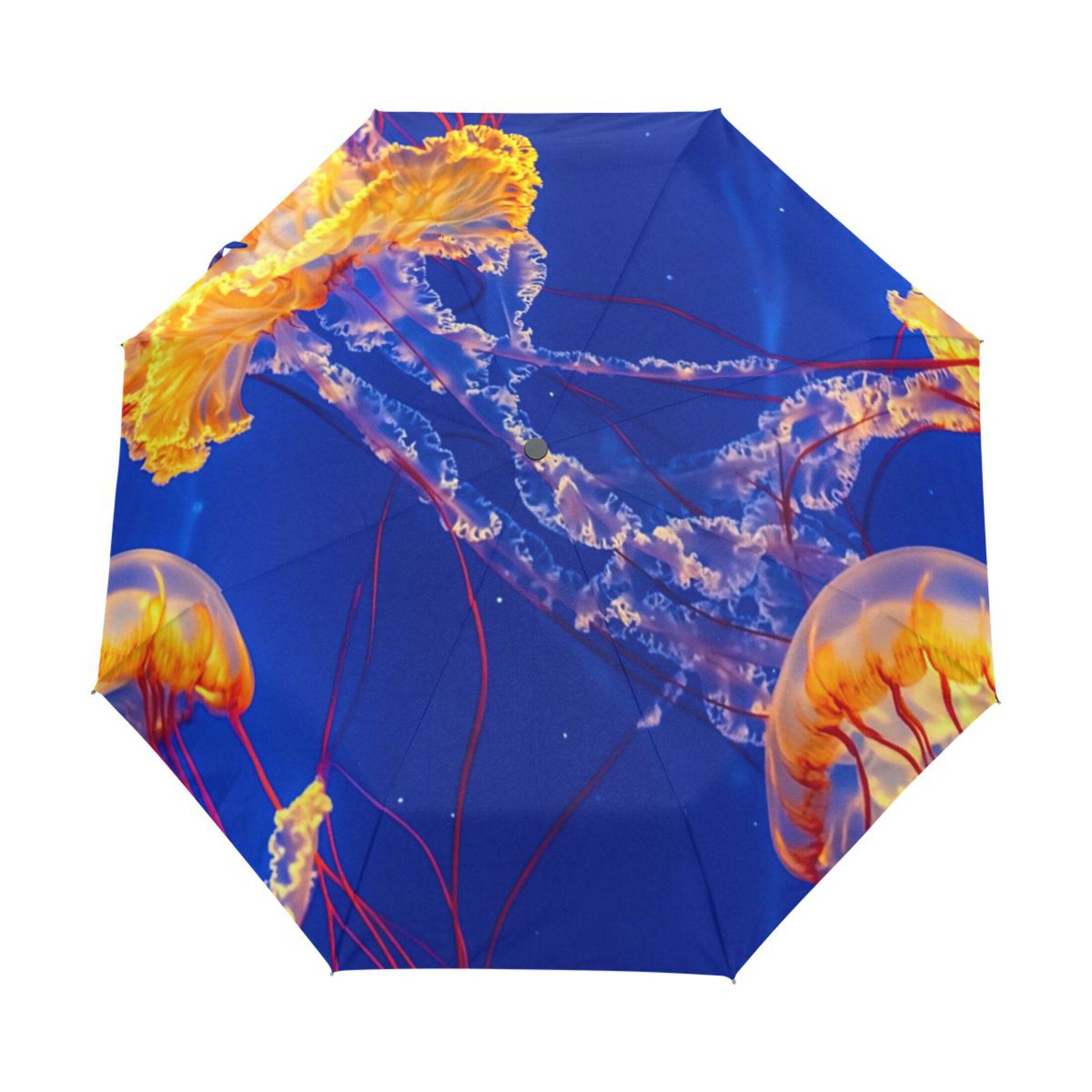 AutoOpen Umbrella Automatic Folding Umbrella Compact & Lightweight ...