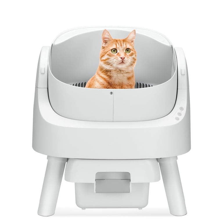 Automatic Litter Box Walmart