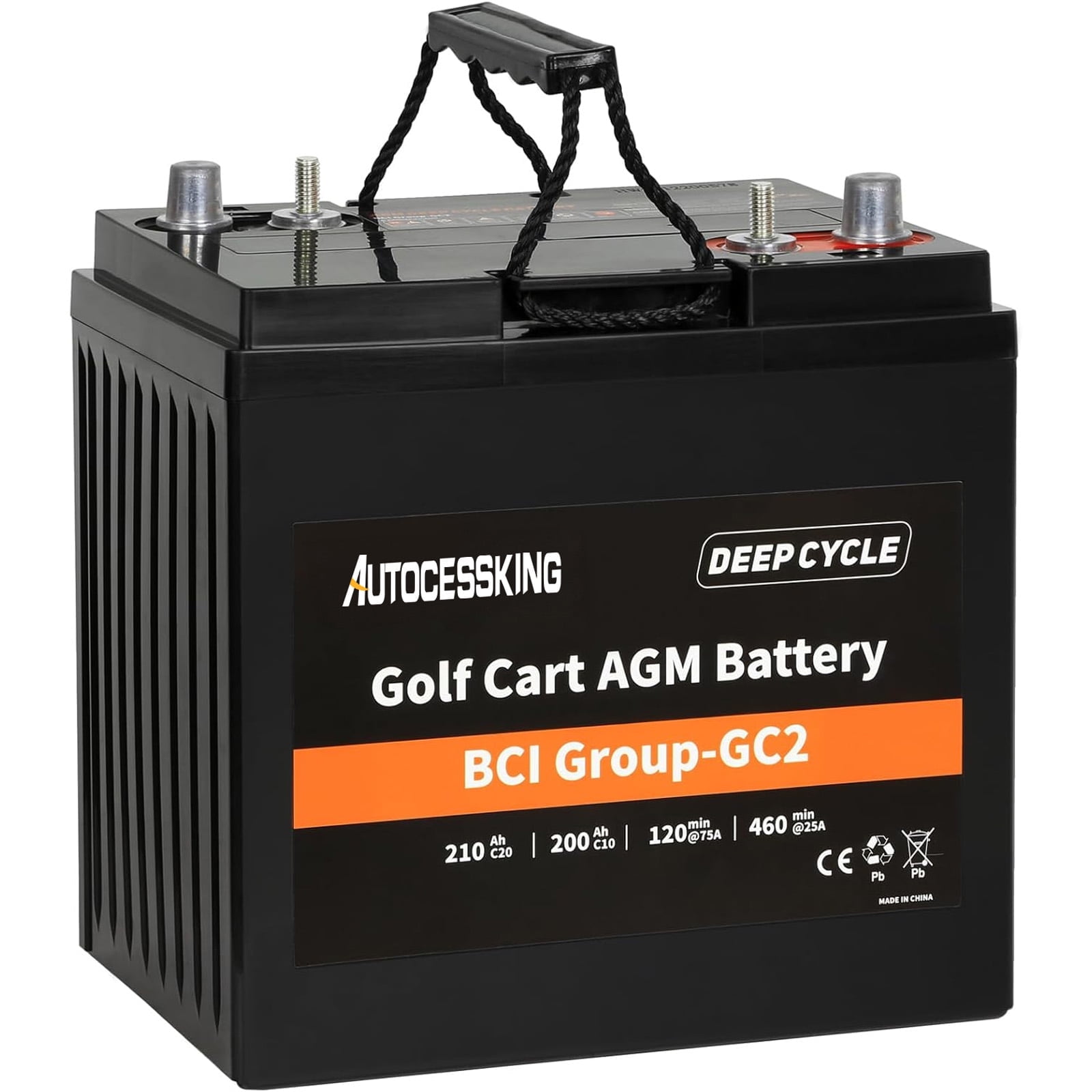 Autocessking 6V Golf Cart Battery, 210ah BCI Group GC2 High Capacity ...