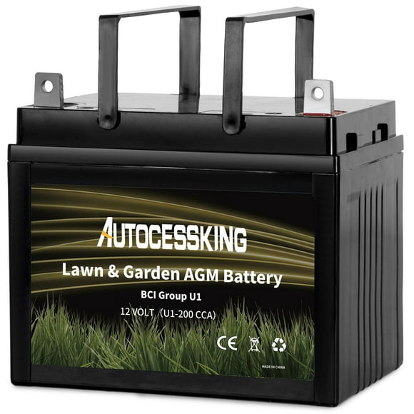 12 Volt Lawnmower Batteries in Tractor Batteries - Walmart.com