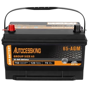 Free Shipping! EverStart Platinum AGM Automotive Battery, Group Size ...