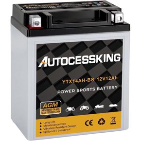 Duralast Power Sport Battery