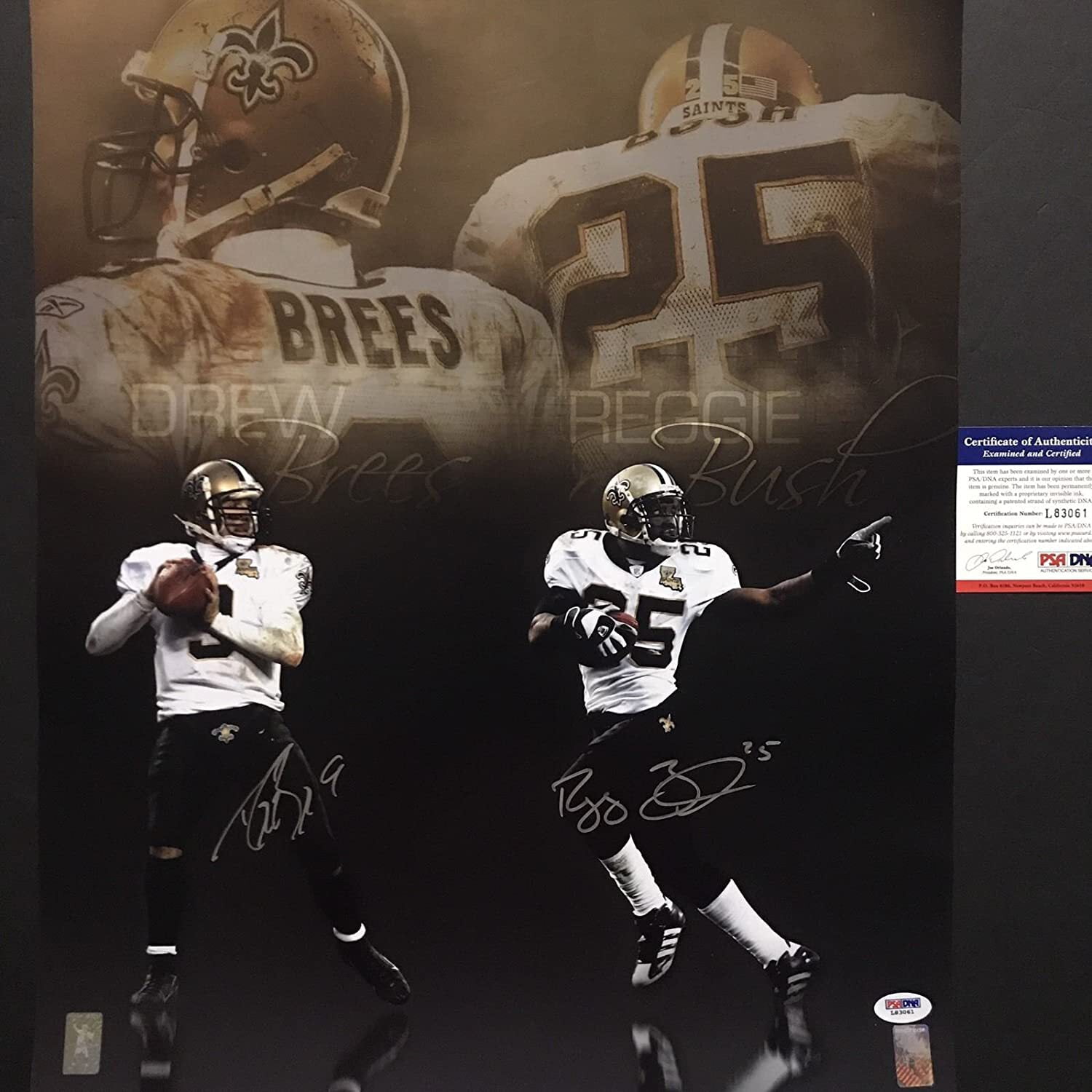Autographed/Signed Drew Brees Reggie Bush New Orleans Saints 16x20 ...
