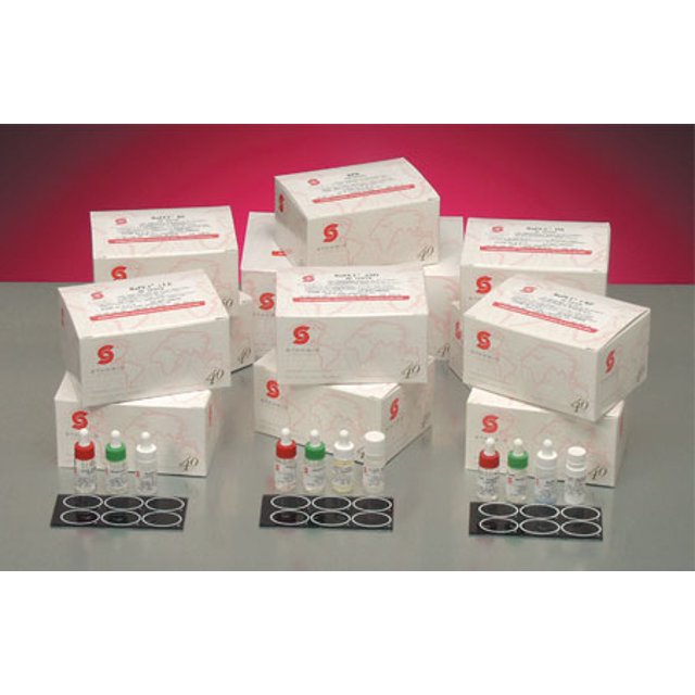 Autoimmune Test Kit RaPET RF Rheumatoid Factor (RF) 50 Tests CLIA Non ...