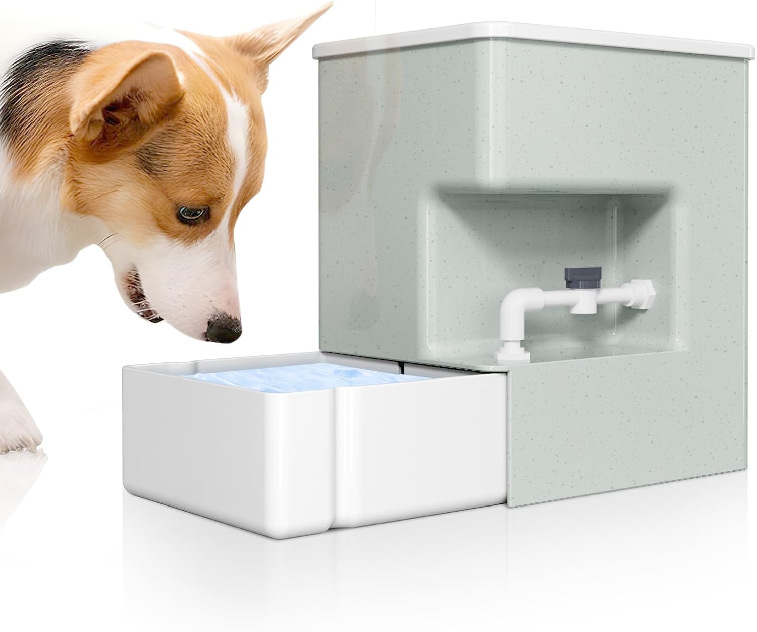 Automatic 8L Pet Waterer - Gravity Water Dispenser for Cats, Puppies ...