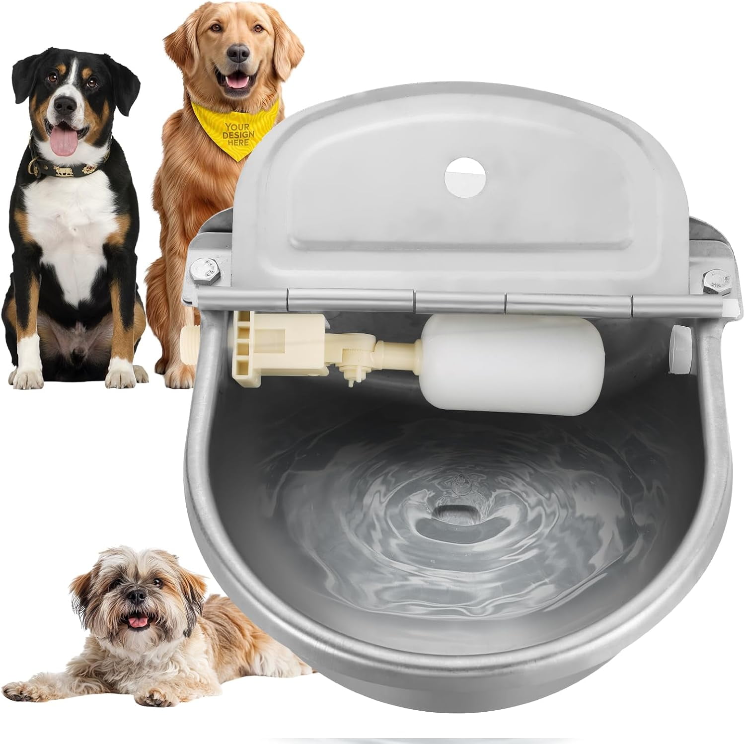 Automatic Animal Drinking Water Bowl, Stainless Steel Water Troughs for ...