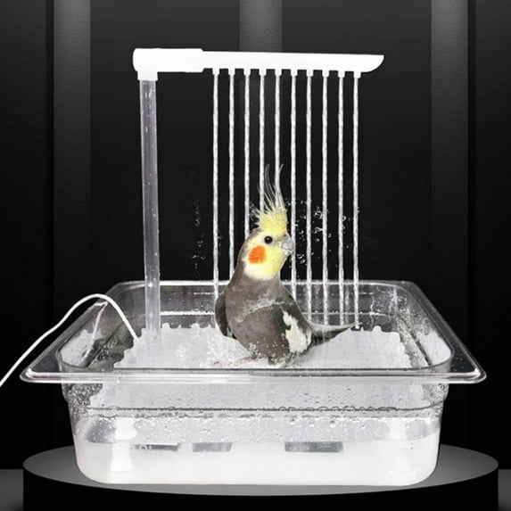 Automatic Bird Bath Shower with USB Pump for Small and Medium Birds ...