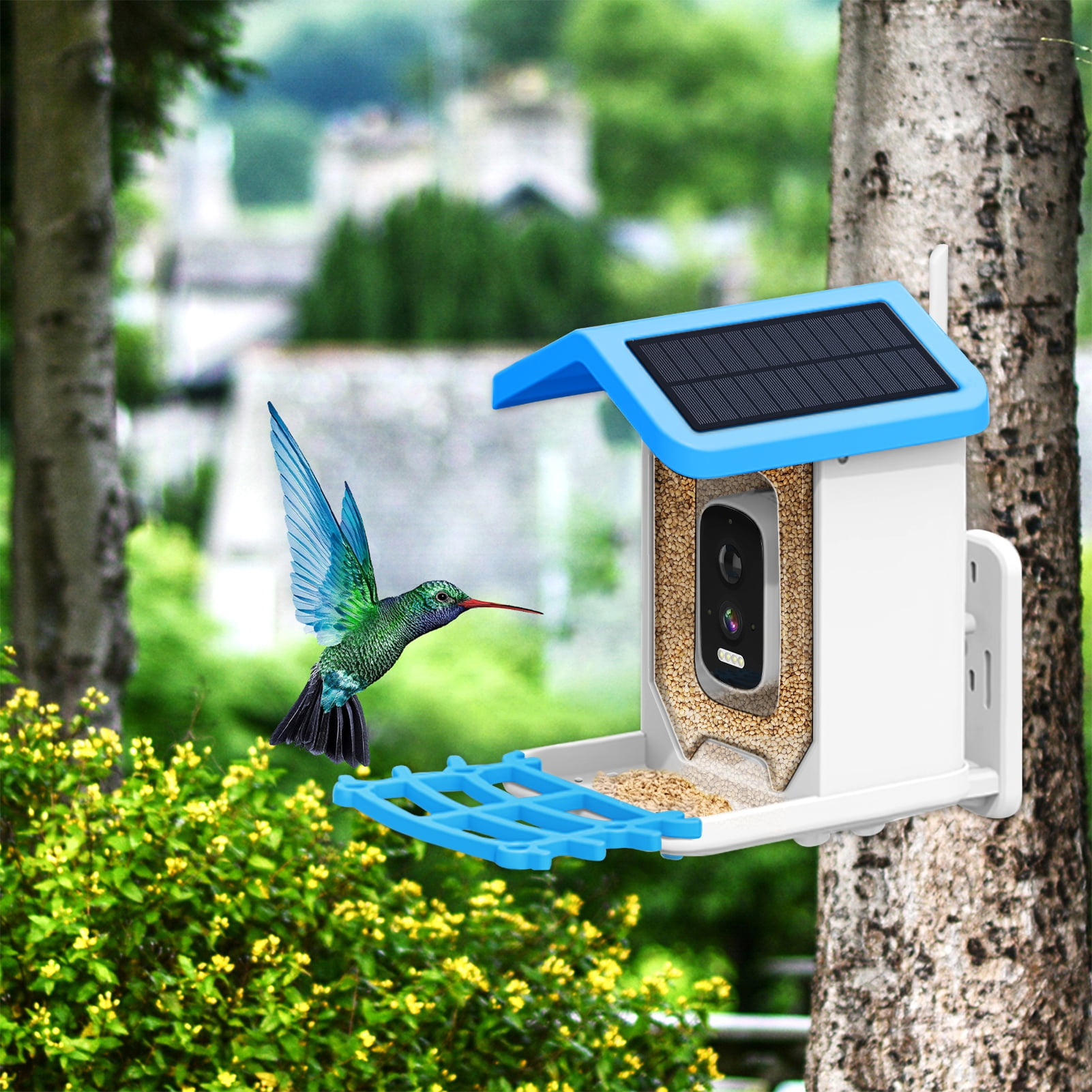 Automatic Bird Feeder, Smart Bird Feeder with Camera, Hummingbird ...