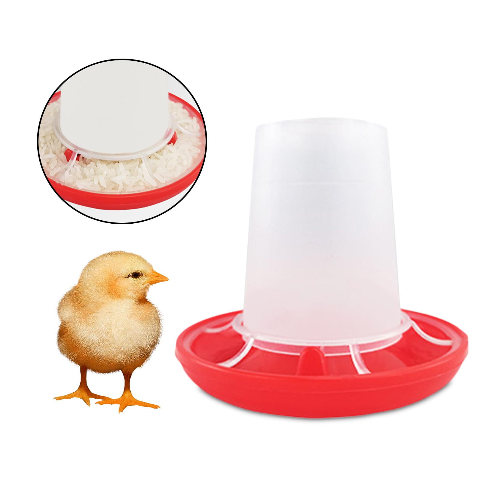 Automatic Blanking Bucket Practical Quail Chook Hen Chicken Feeder Tray ...