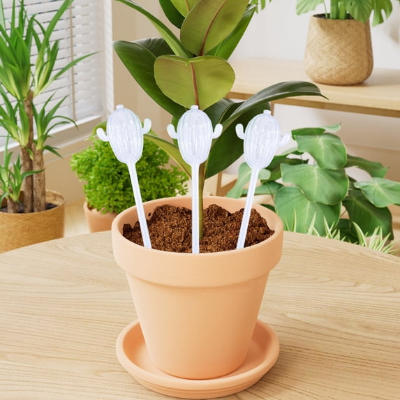 Automatic Cactus Watering Device, Drip Irrigation for Indoor Plants and ...