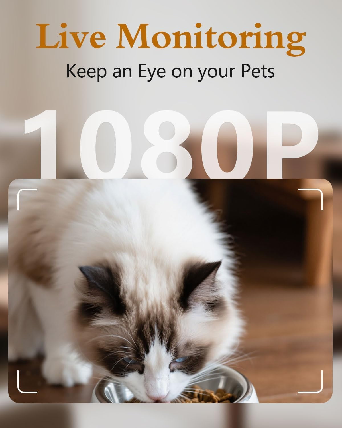 Automatic Cat Feeder with Camera - 5G WiFi App Control, 4L Stainless ...