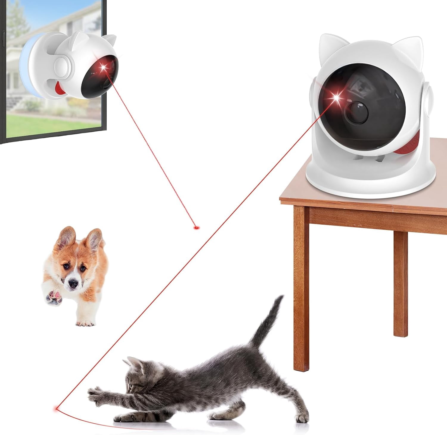 Automatic Cat Laser Toy Interactive Cat Toys for Indoor Cats/Kitty/Dogs ...