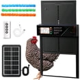 Automatic Chicken Coop Door Solar Powered, Accessories Extra-Large with ...