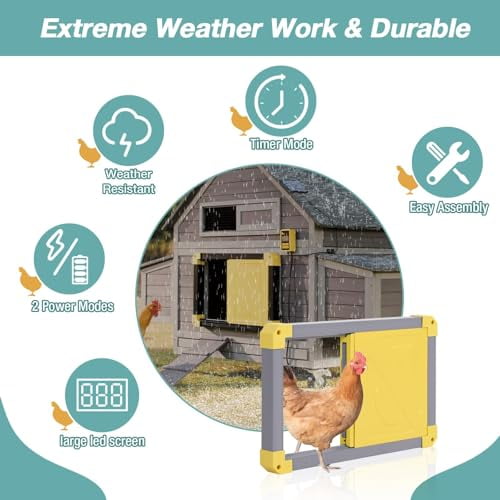 Automatic Chicken Coop Door, Solar Powered Automatic Chicken Door with ...