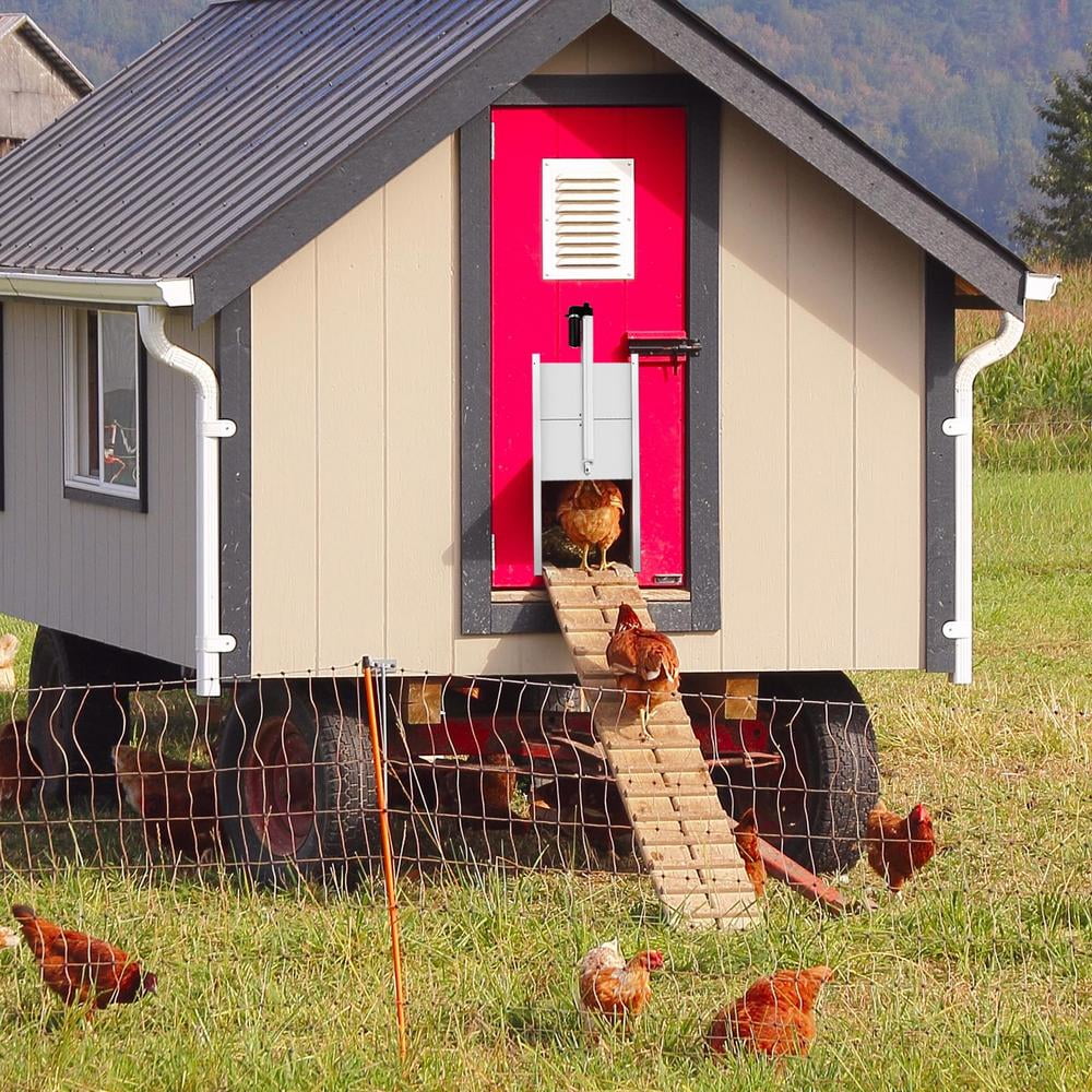 Automatic Chicken Coop Door with Timer & Sensor - Remote Control, Anti ...