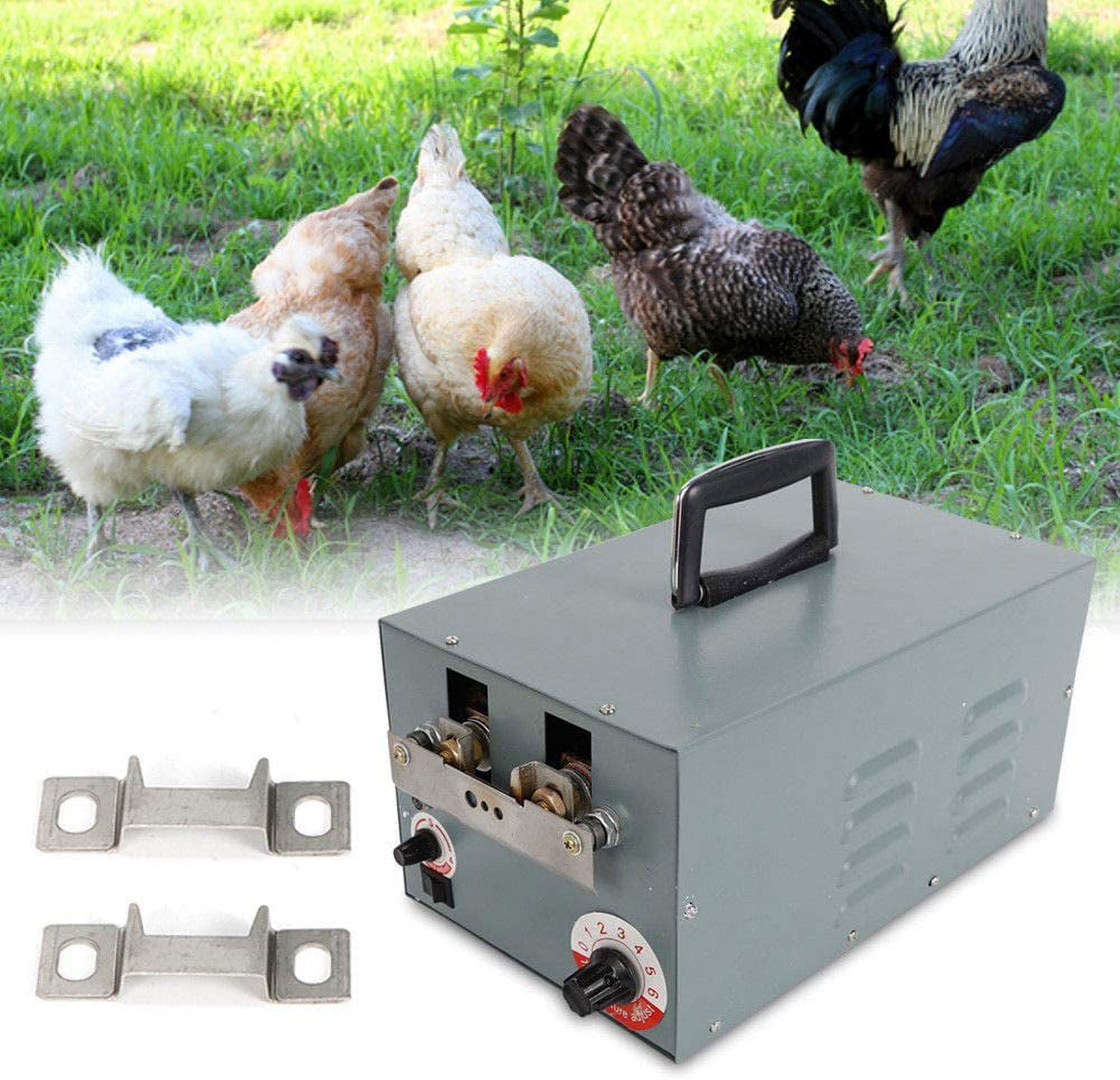 Automatic Chicken Debeaking Machine, 110V Auto Electric Debeaking ...