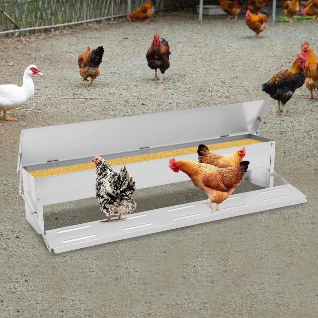 Automatic Chicken Feeder, Metal Treadle Feeder with Weatherproof and ...