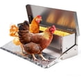 Automatic Chicken Feeder, Rat Proof & No Waste Treadle Feeder ...