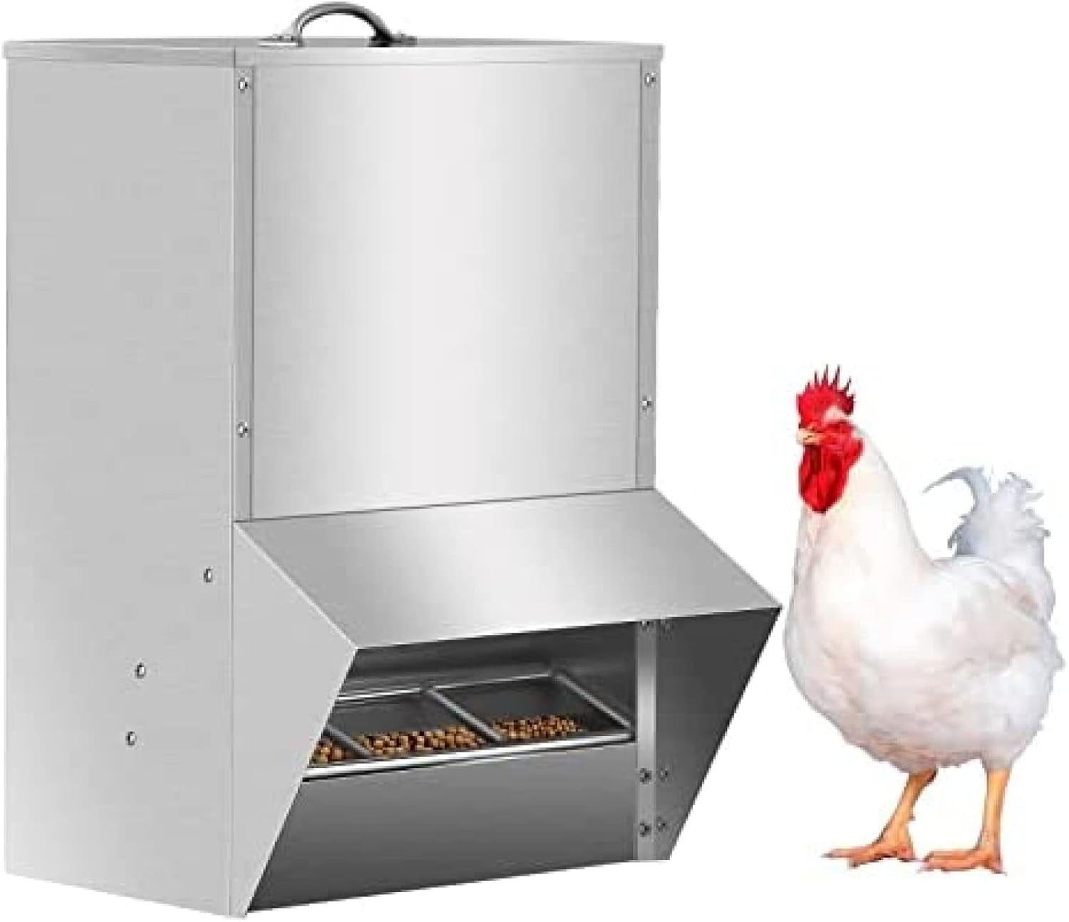Automatic Chicken Feeder System - 30-50lb Capacity Galvanized Feeder ...