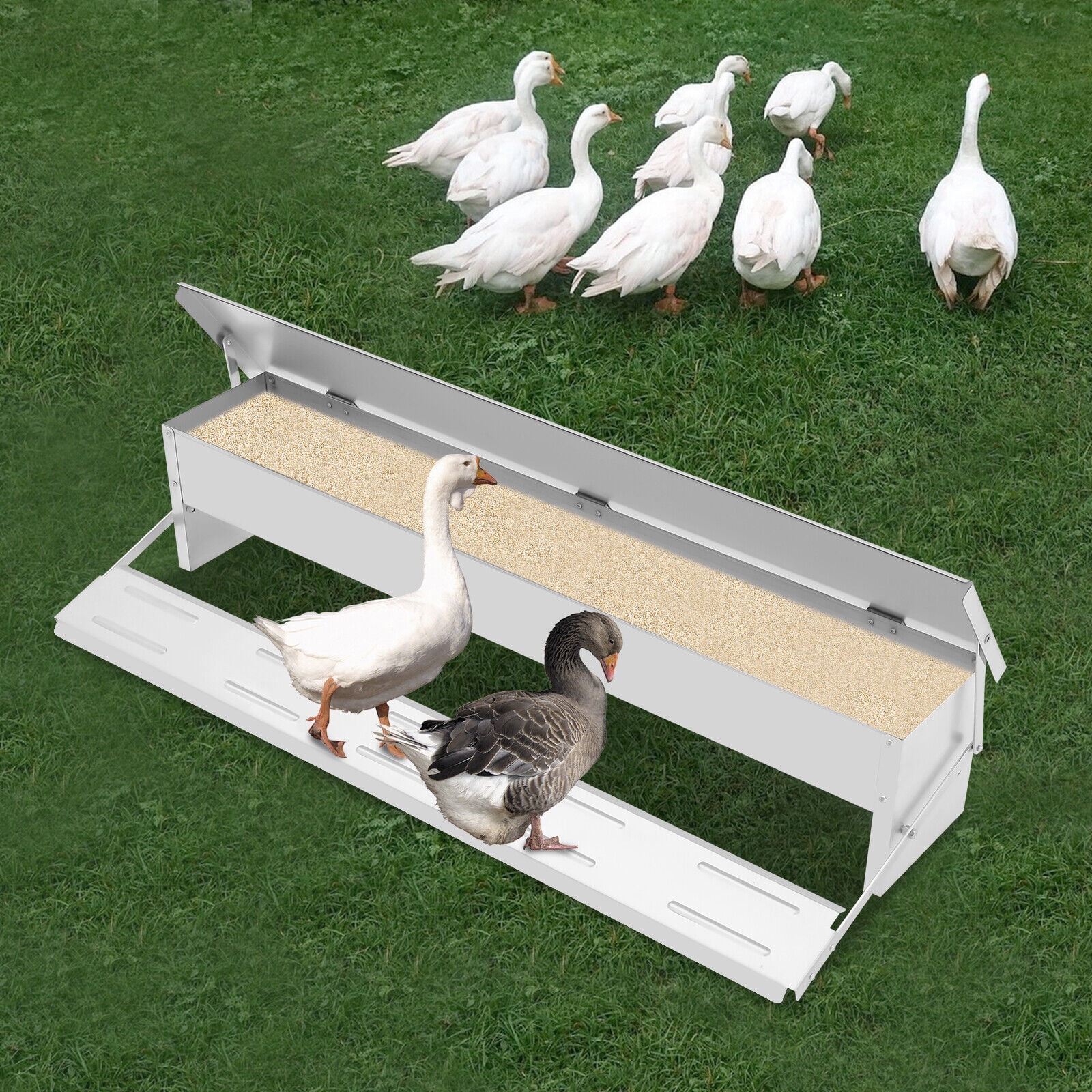 Automatic Chicken Feeder for Large Capacity, Large Capacity Poultry ...