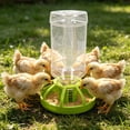 Automatic Chicken Food and Water Dispenser, Multi-Purpose Chicken ...