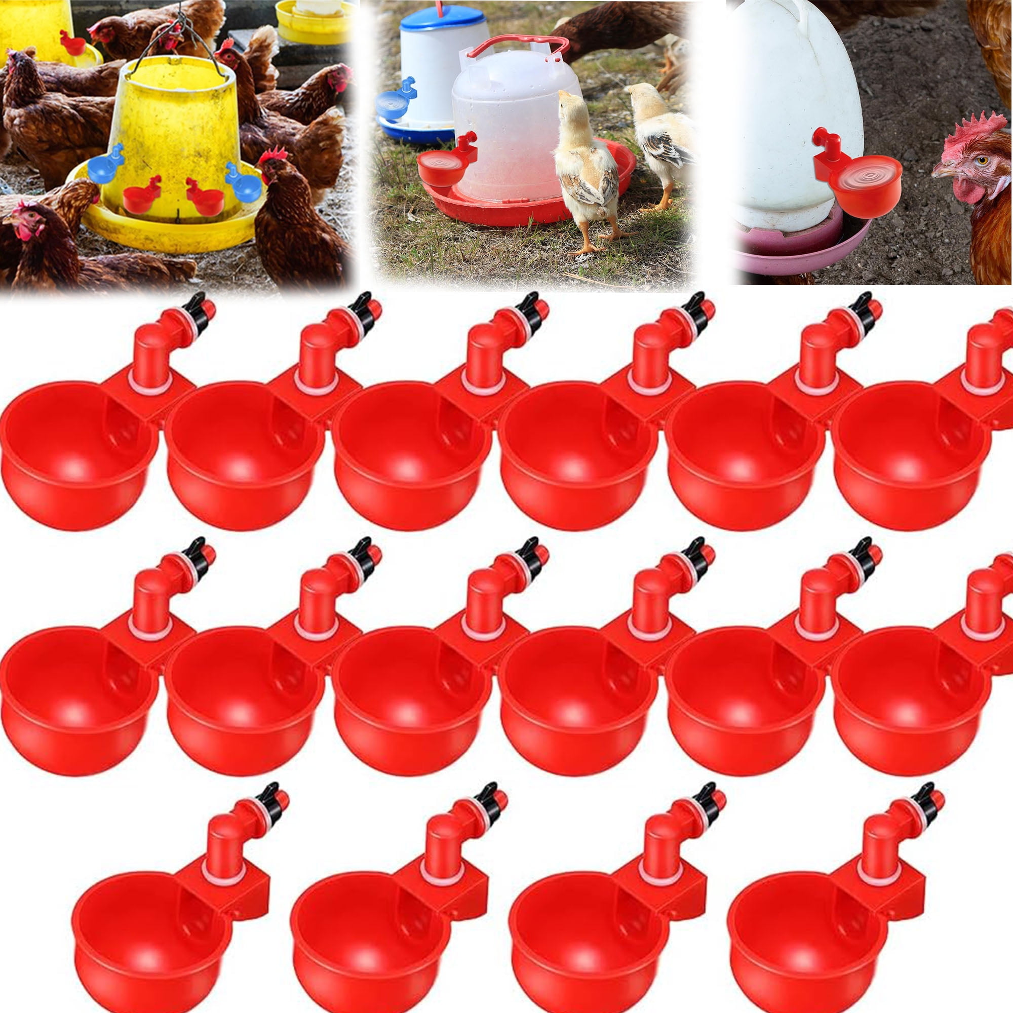 Automatic Chicken Water Cup Bird Coop,2025 New Chicken Waterer Cups ...