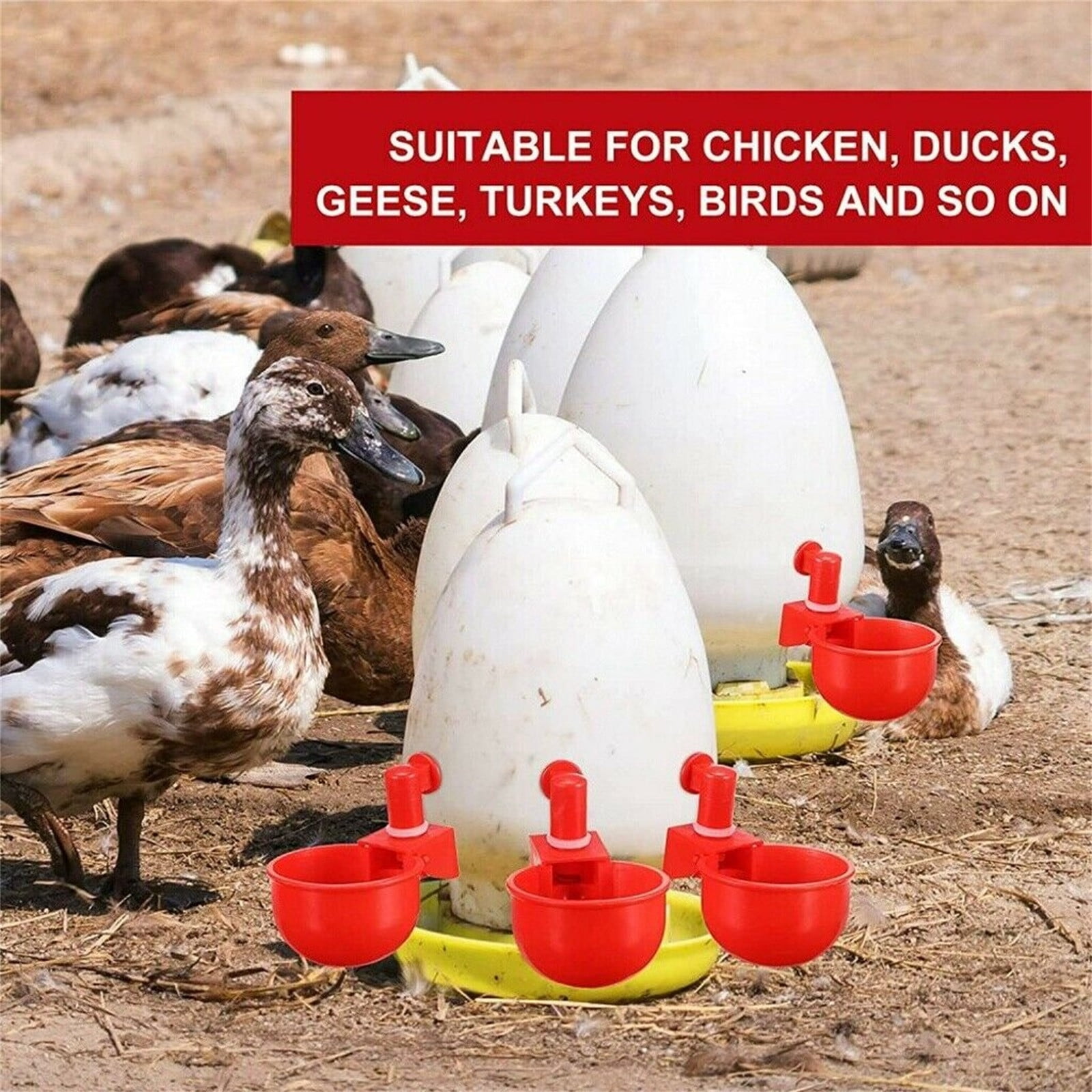 Automatic Chicken Water Drinker, 4pc Plastic Quail Cups, Self-Filling ...