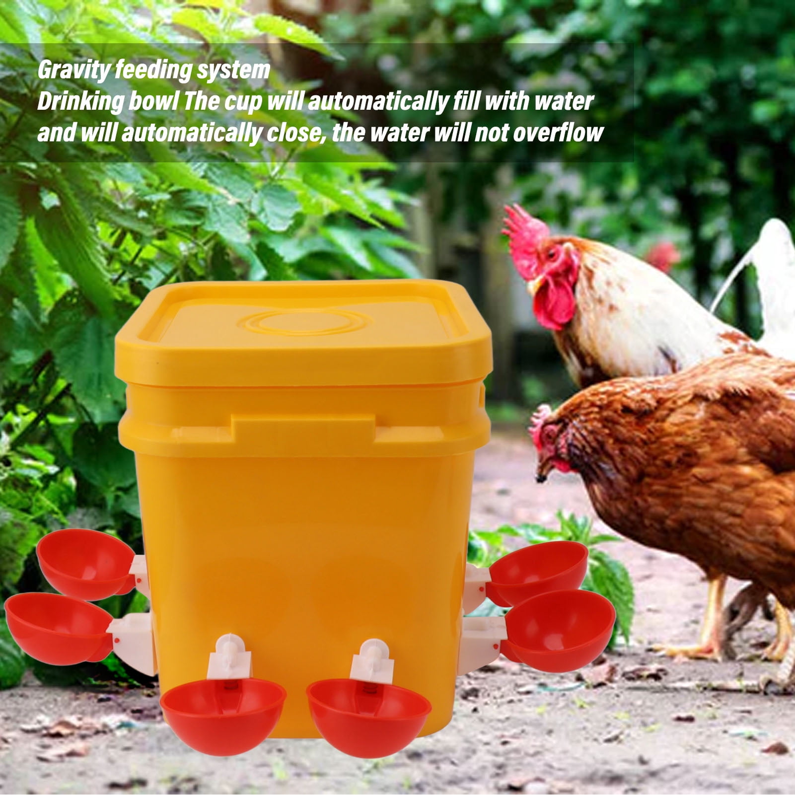 Automatic Chicken Waterer Cup With 12L Barrel For Poultry Drinking ...