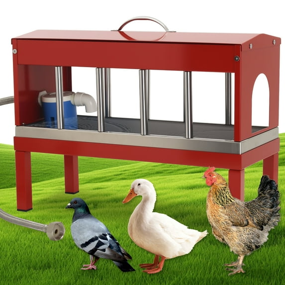 Automatic Chicken Waterer Stainless Steels Large Poultry Waterer ...