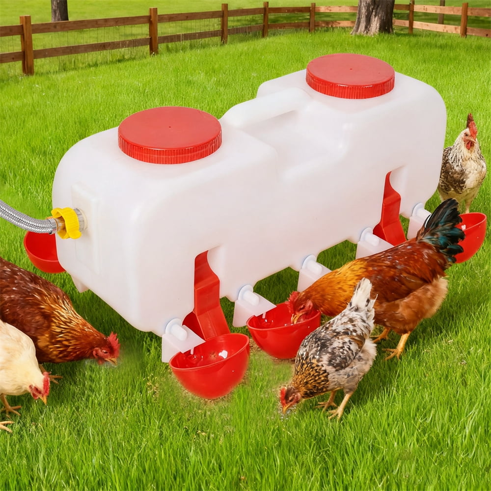Automatic Chicken Waterer with 10 Drinking Cup,Easy Disassembly and ...