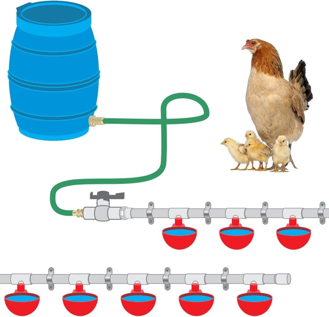 Automatic Chicken Watering System with 1/2" PVC Pipe & Hose Connector ...
