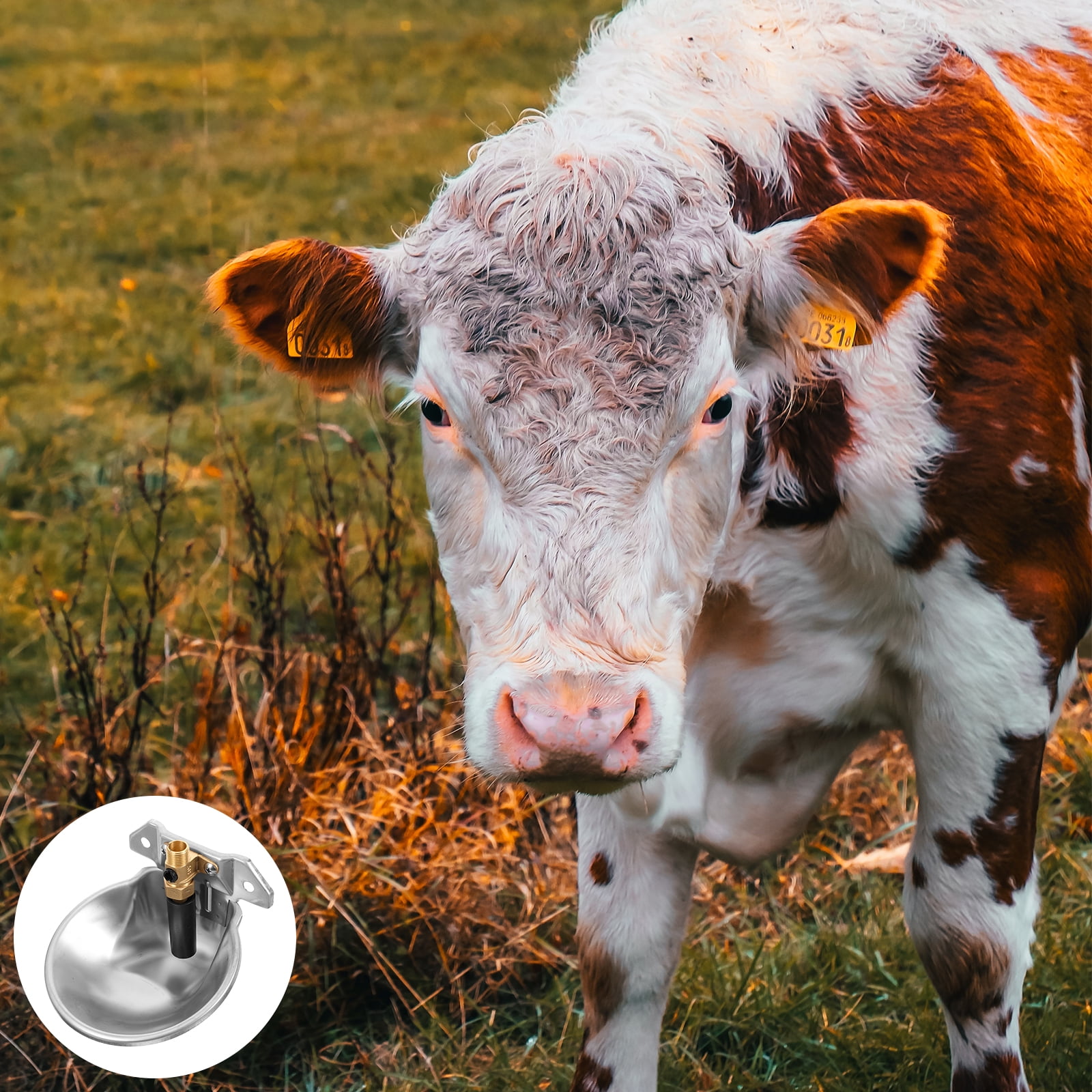 Automatic Cow Drinking Water Bowl Cow Water Feeder Water Dispenser ...