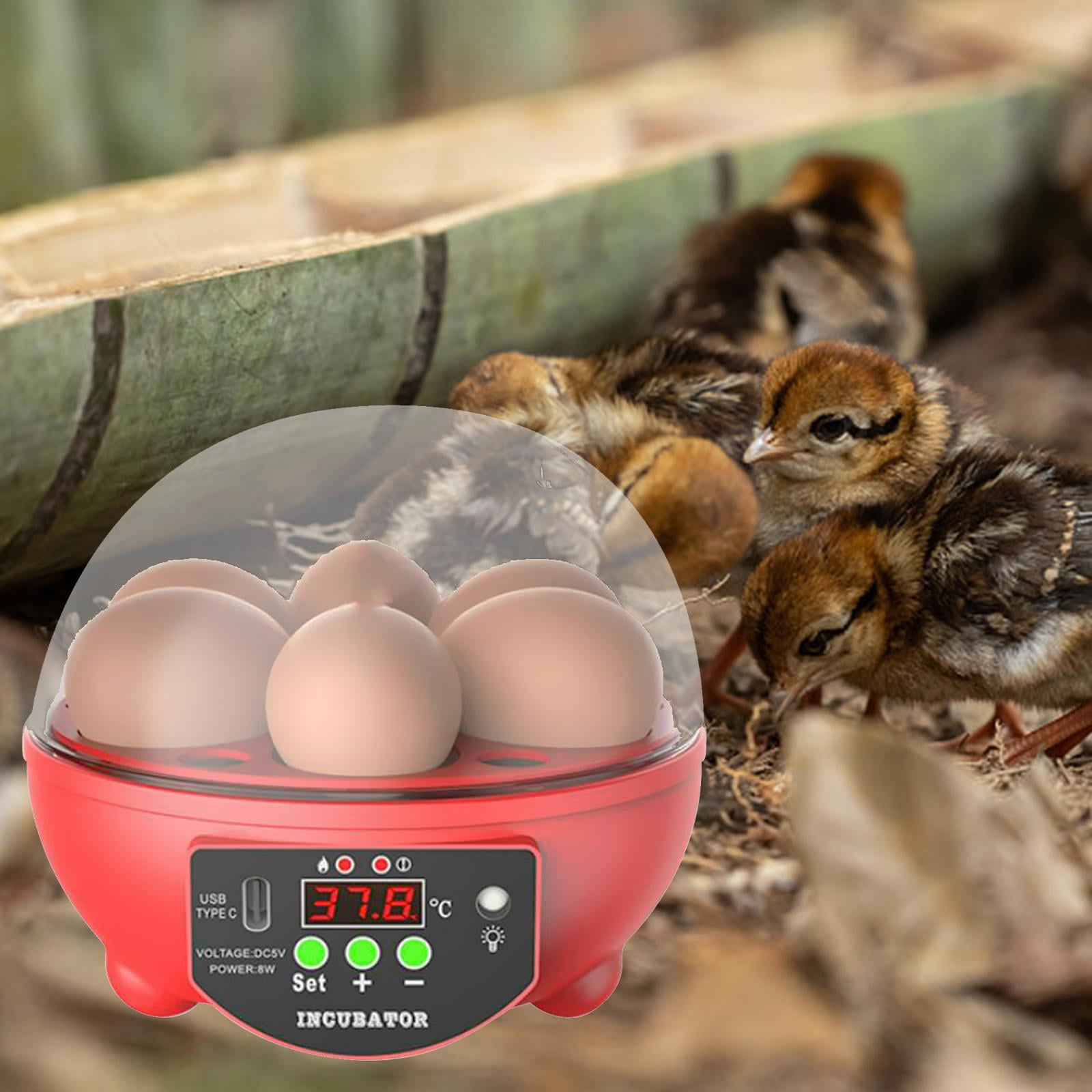 Automatic Digital Poultry ing Machine, Automatic Egg Turner Temperature Control Small 6 Egg ...