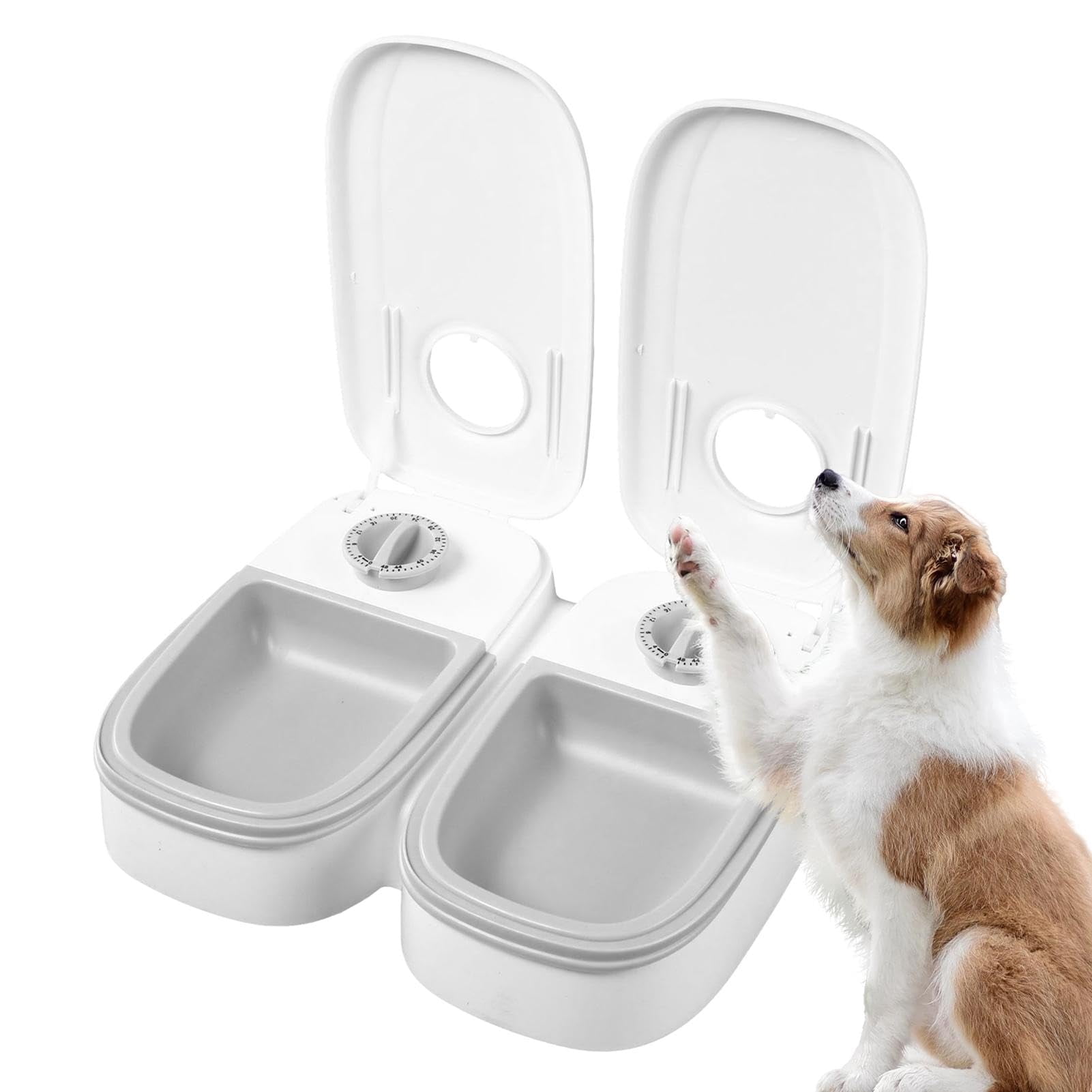 Automatic Dog Feeder | Cat Auto Feeder Food Container | Battery ...
