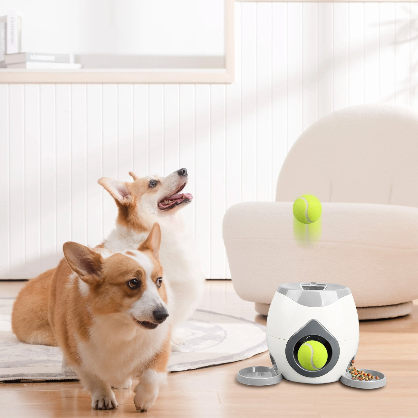 Automatic Dog Interactive Dog Indoor&Outdoor Feeding Machine For Small ...
