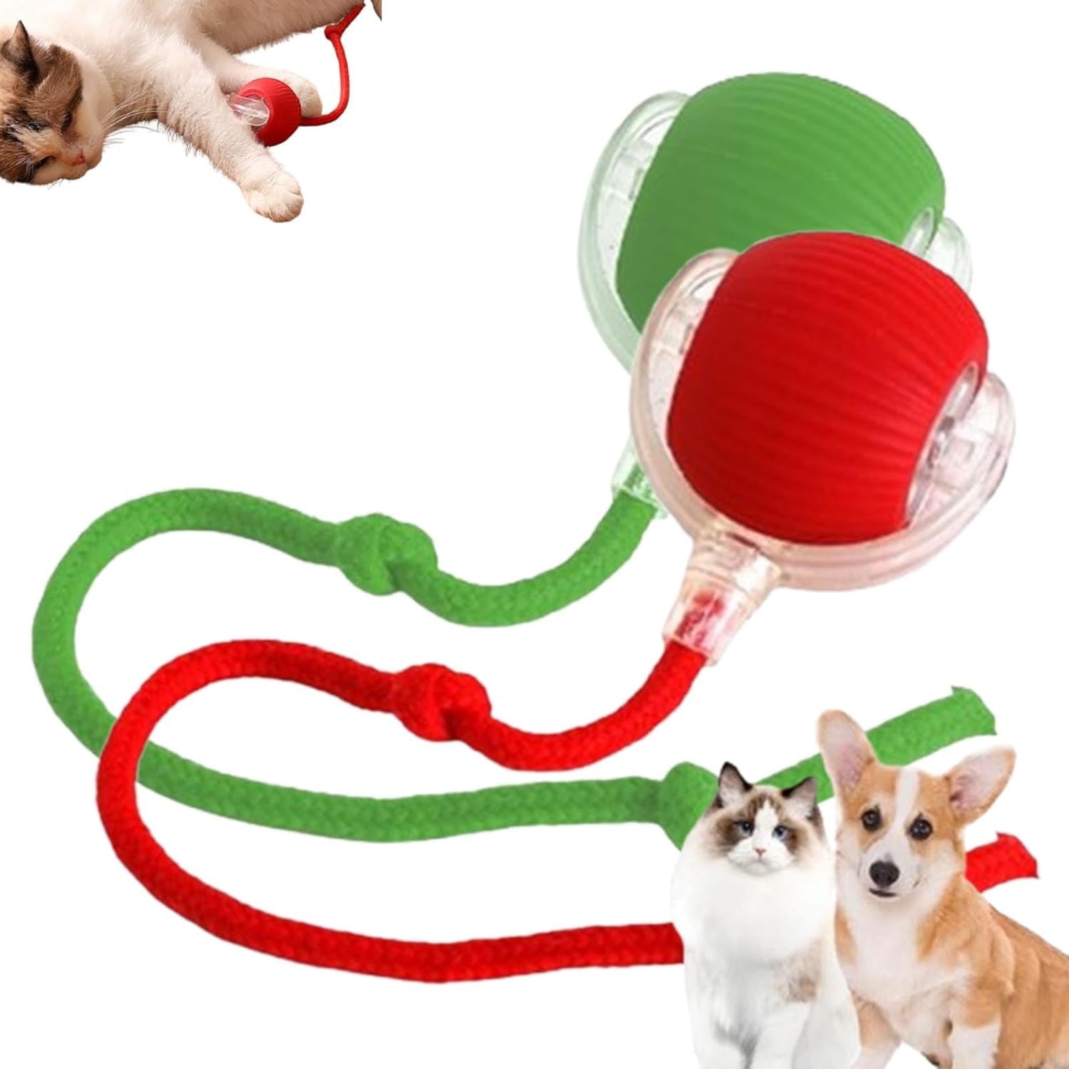 Automatic Dog Walker Toy, Dog Interactive Toys, Chase Toys for Dogs ...