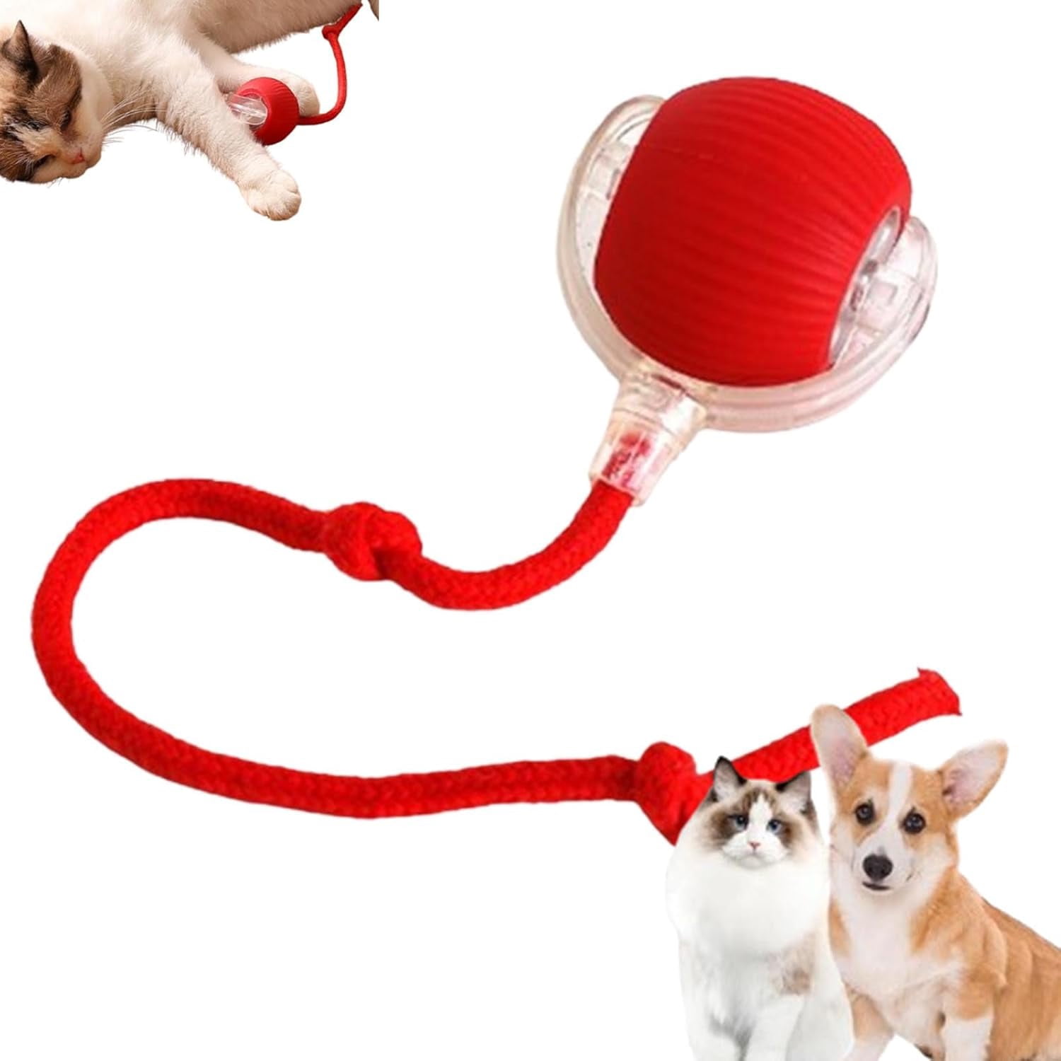 Automatic Dog Walker Toy, Dog Interactive Toys, Chase Toys for Dogs ...