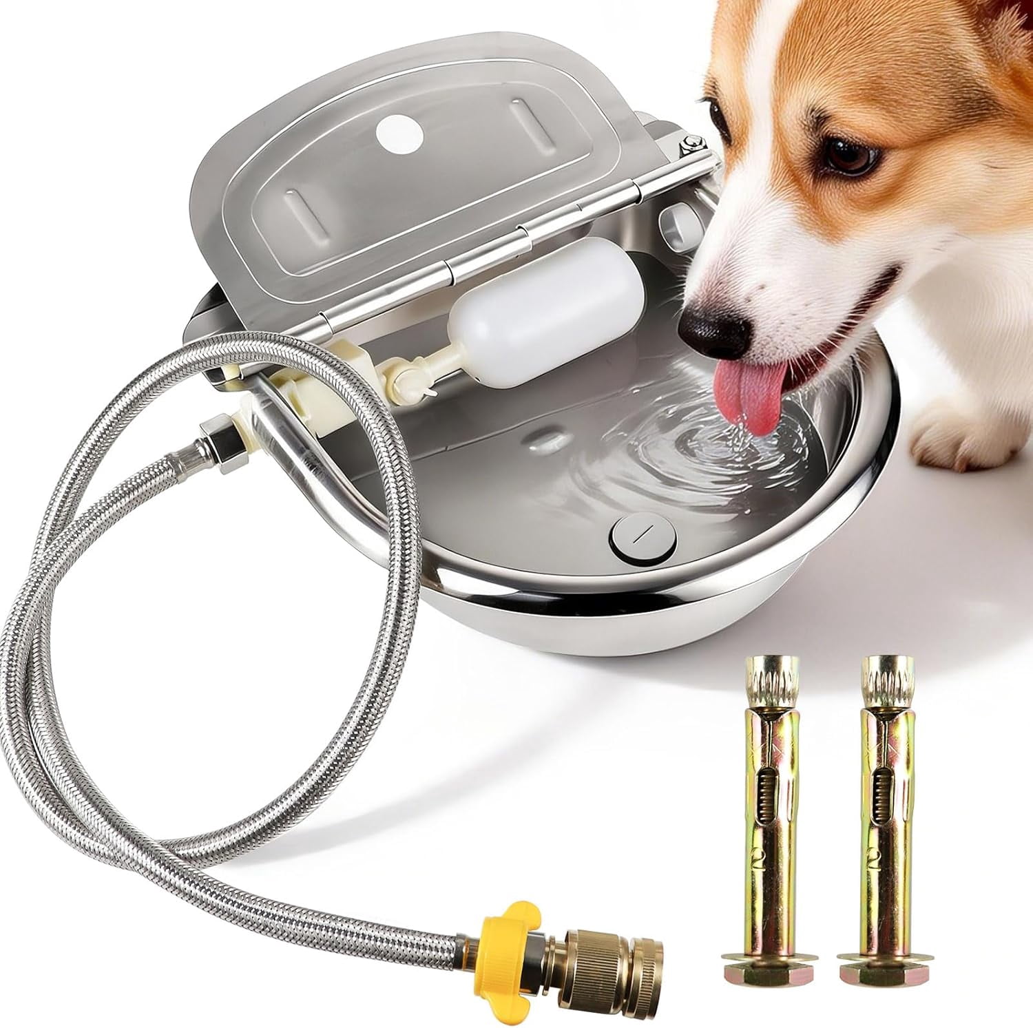 Automatic Dog Water Bowl Dispenser，304 Stainless Steel Auto Fill ...
