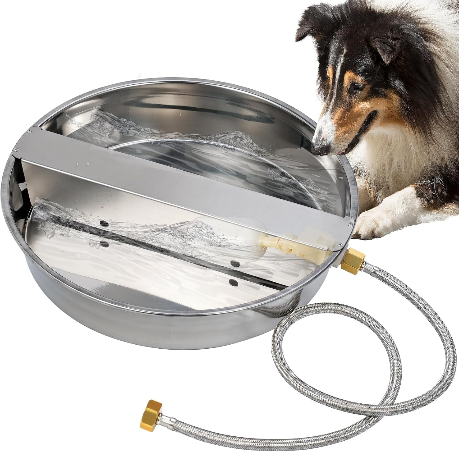 Automatic Dog Water Bowl Dispenser for Large Dogs, Metal Pet Waterer ...