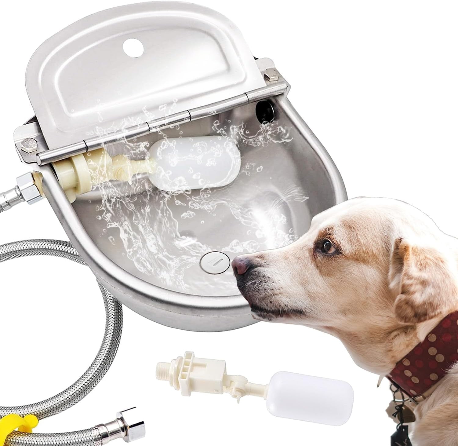 Automatic Dog Water Bowl Dispenser Large Size Pet Waterer Feeder ...