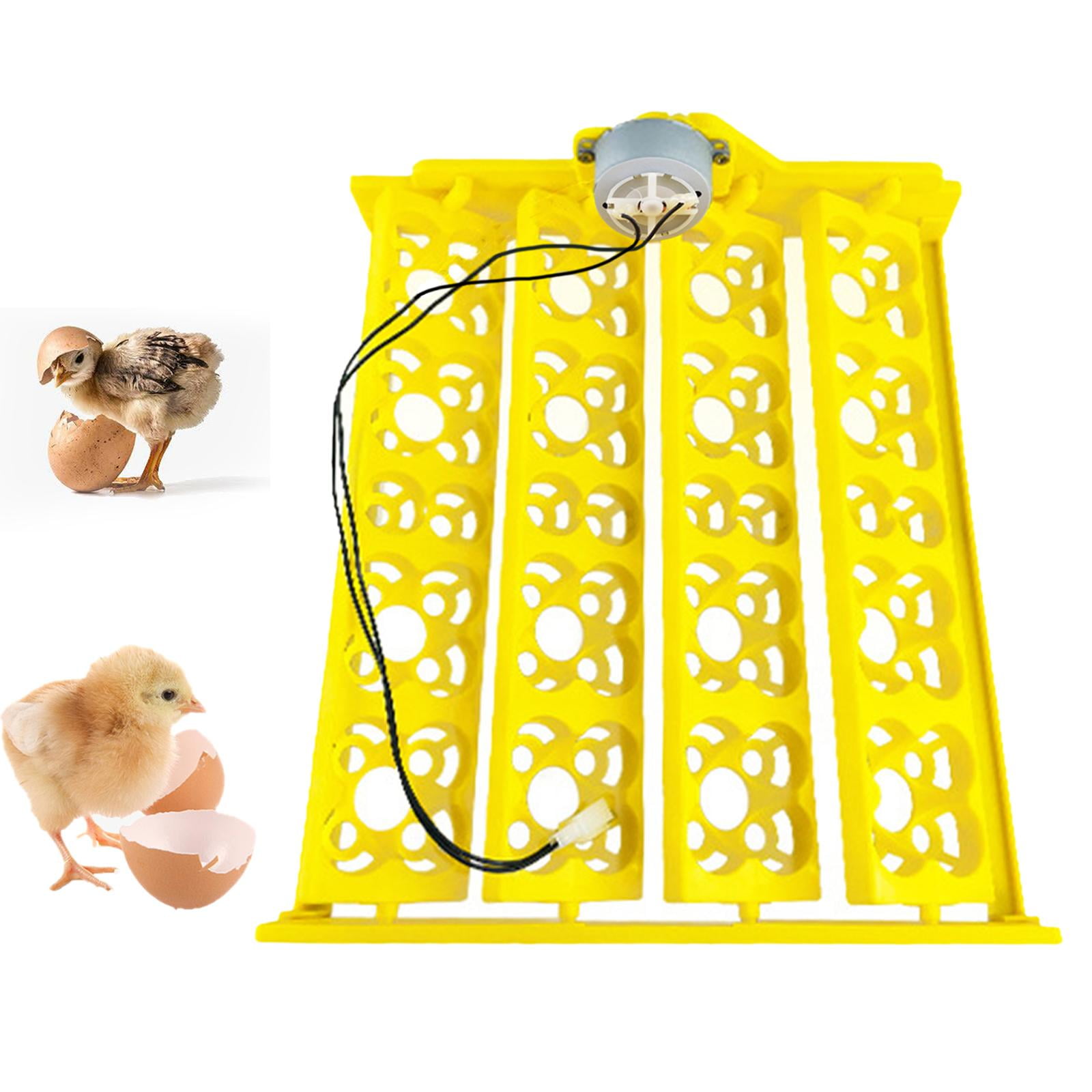 Automatic Egg Incubator Tray Automatic Turning Motor Egg Turner Turning ...