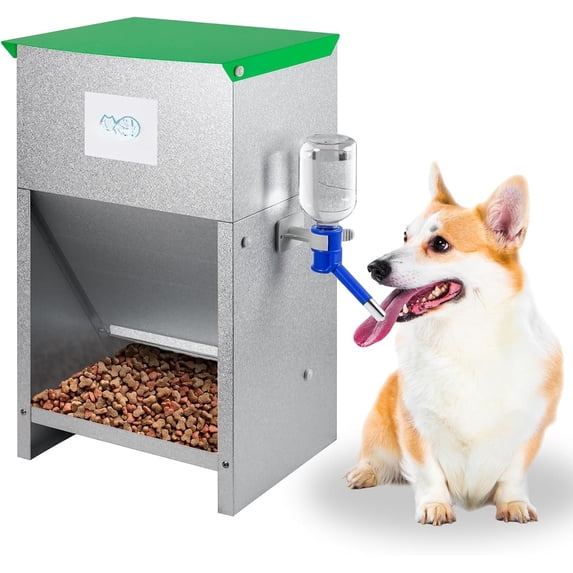Automatic Gravity-Fed Feeder with Water Bowl - Galvanized Indoor ...