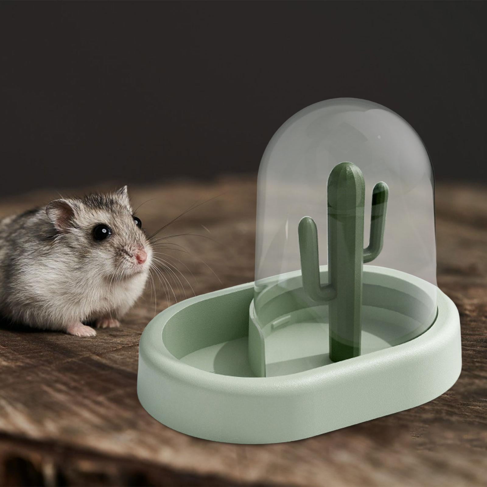 Automatic Hamster Feeder Feeding Stations Food Container Cage Supplies ...