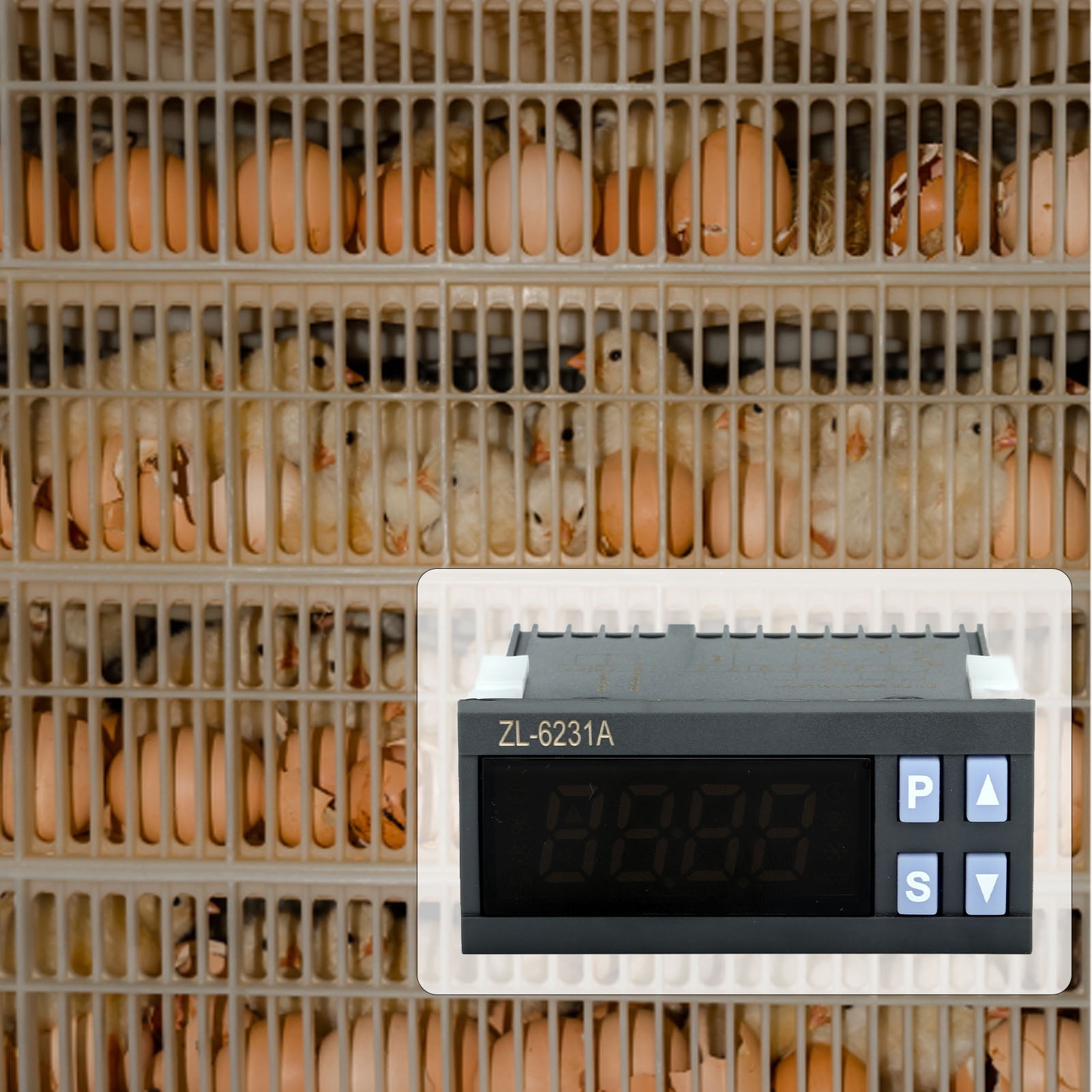 Automatic Incubator Thermostat: LCD Display, High Precision, 185,245V ...
